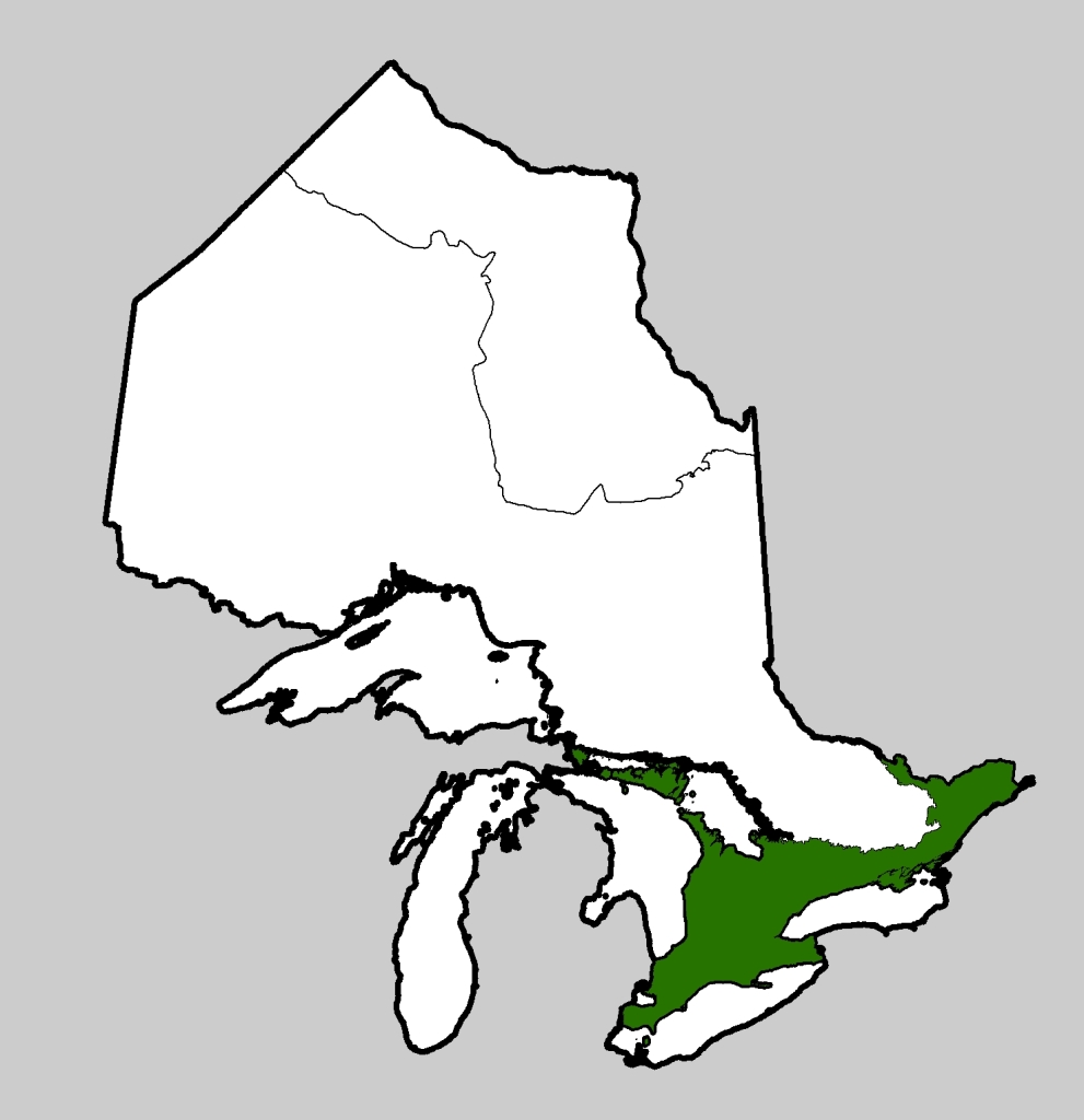 State of Ontario’s Biodiversity | Extent of Wetland Cover and Wetland ...