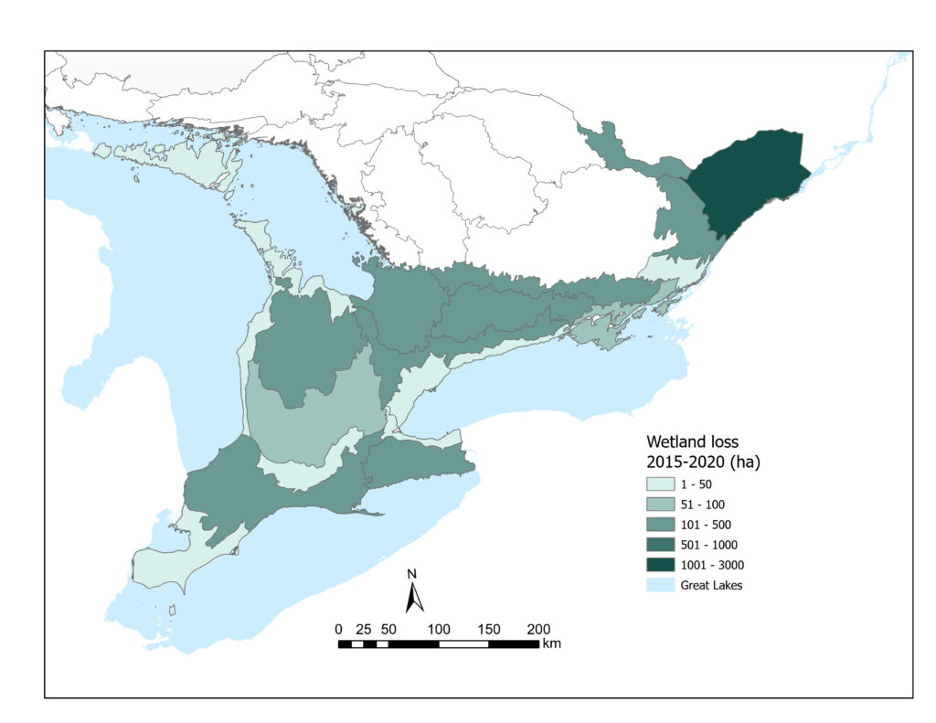 State of Ontario’s Biodiversity | Extent of Wetland Cover and Wetland ...